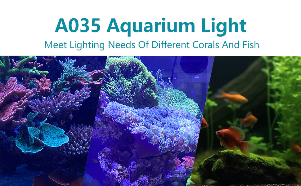 A035 Aquarium Light New Release!! – MaiceMinds